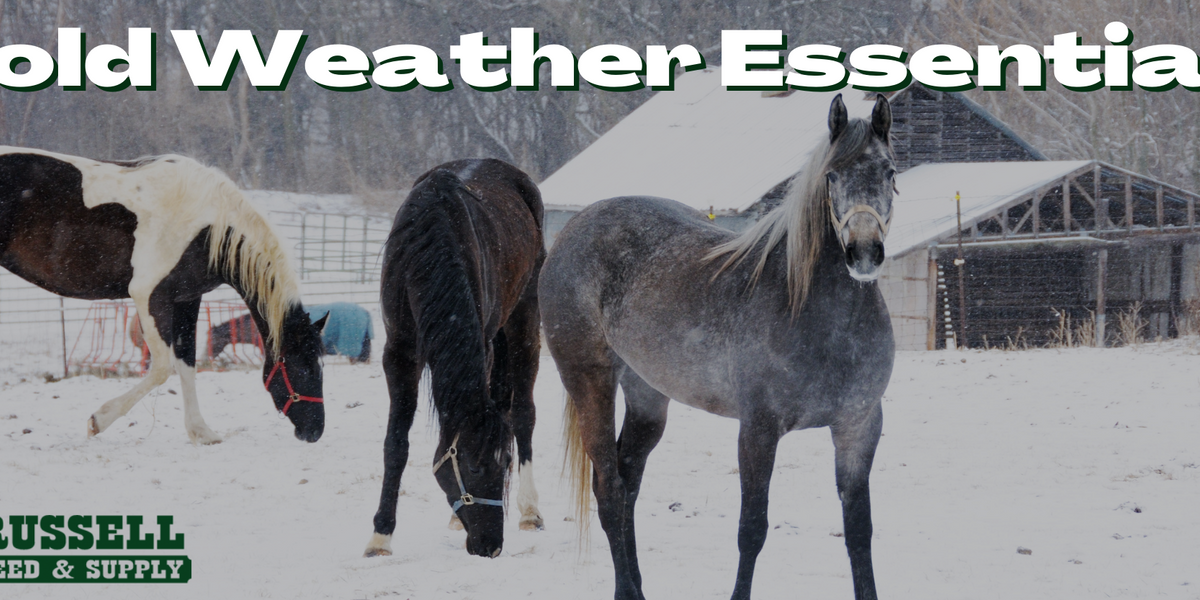 Cold Weather Essentials — Russell Feed & Supply