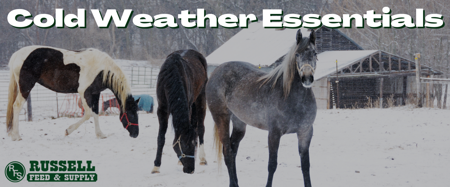 Cold Weather Essentials — Russell Feed & Supply