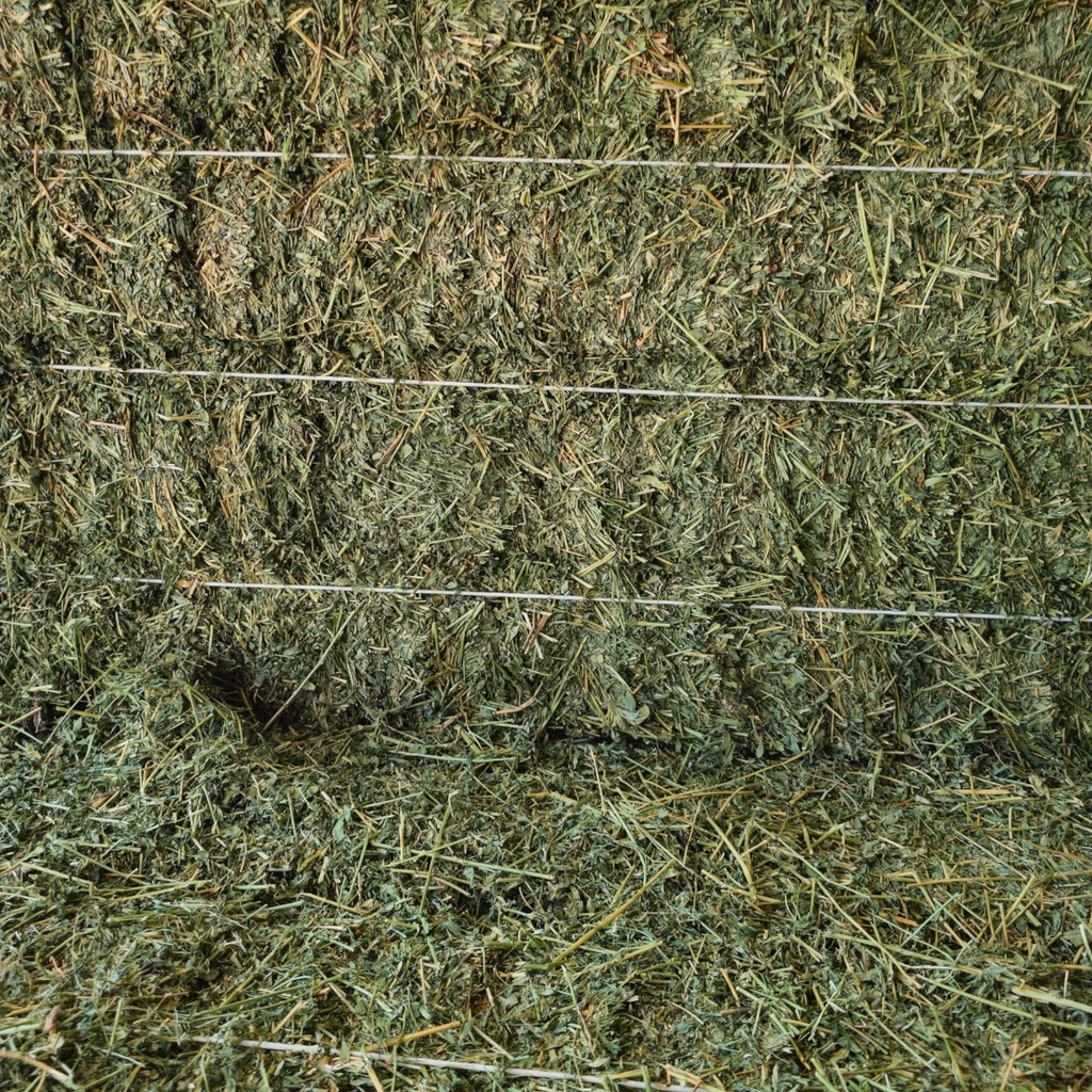 Alfalfa Bale - 3 String – Russell Feed & Supply