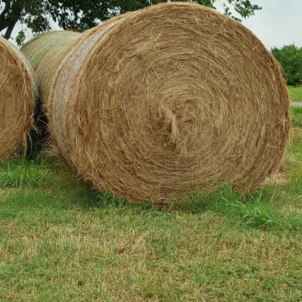 Coastal Hay Round Bale — Russell Feed & Supply