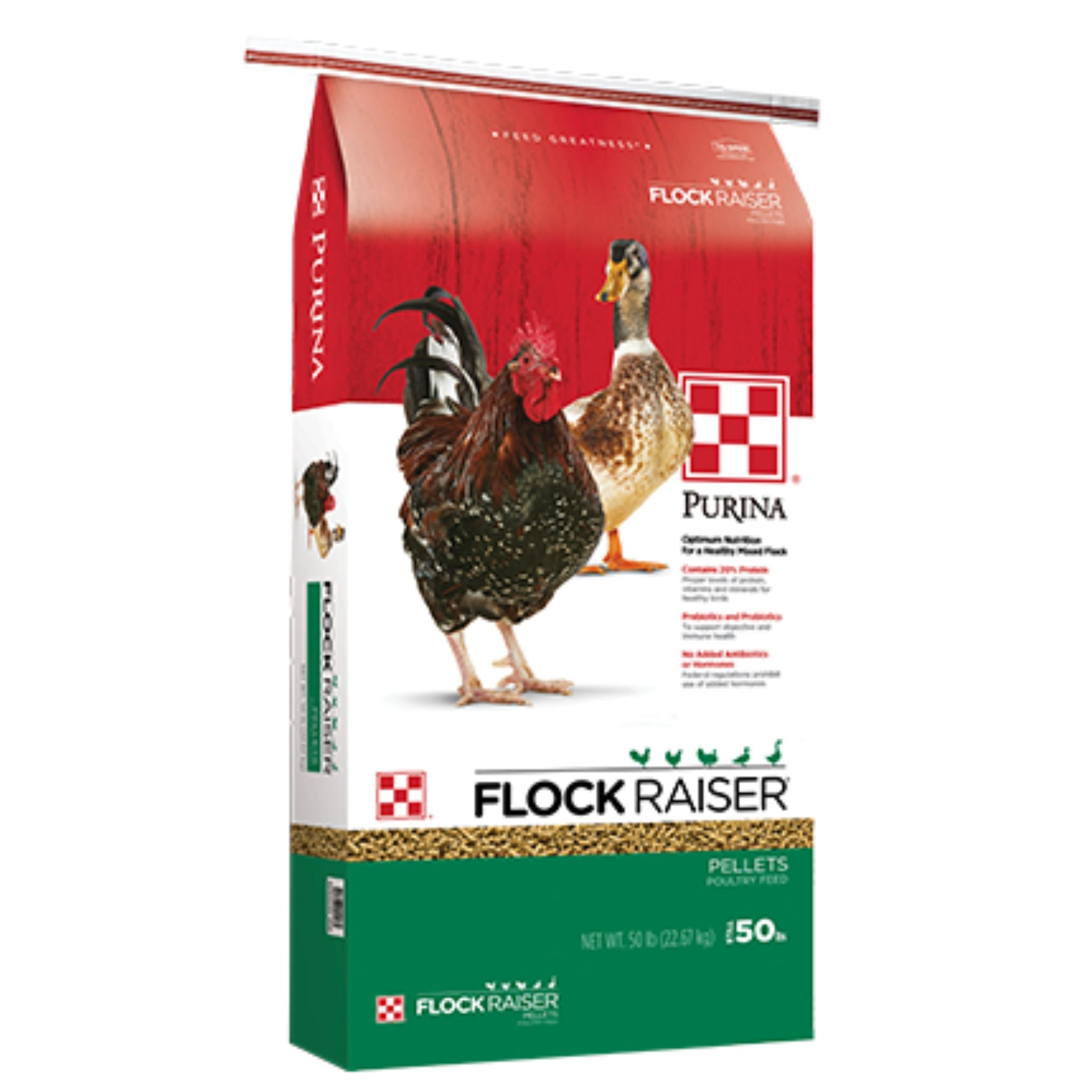 Chicken Feed — Russell Feed & Supply